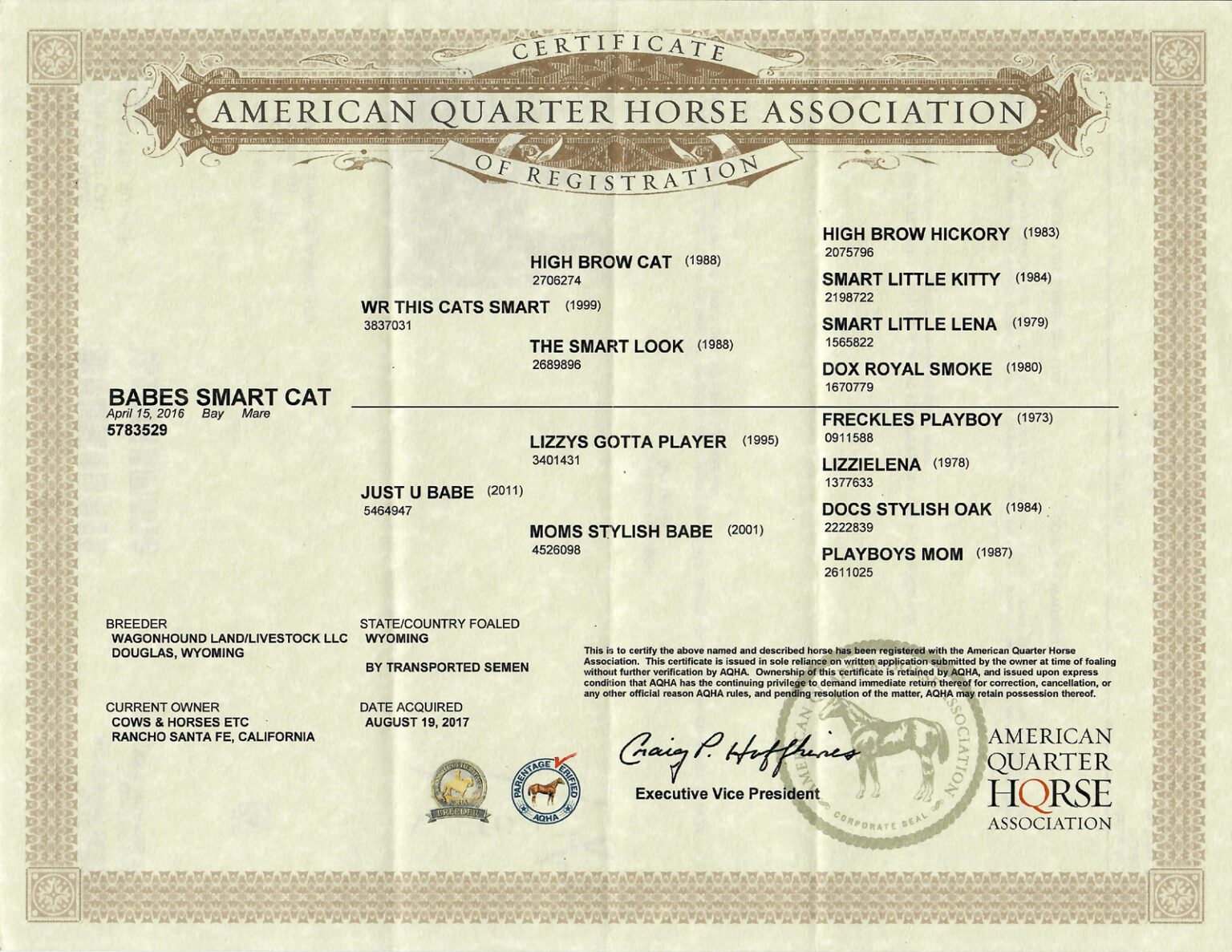 Metallics MVP - Home