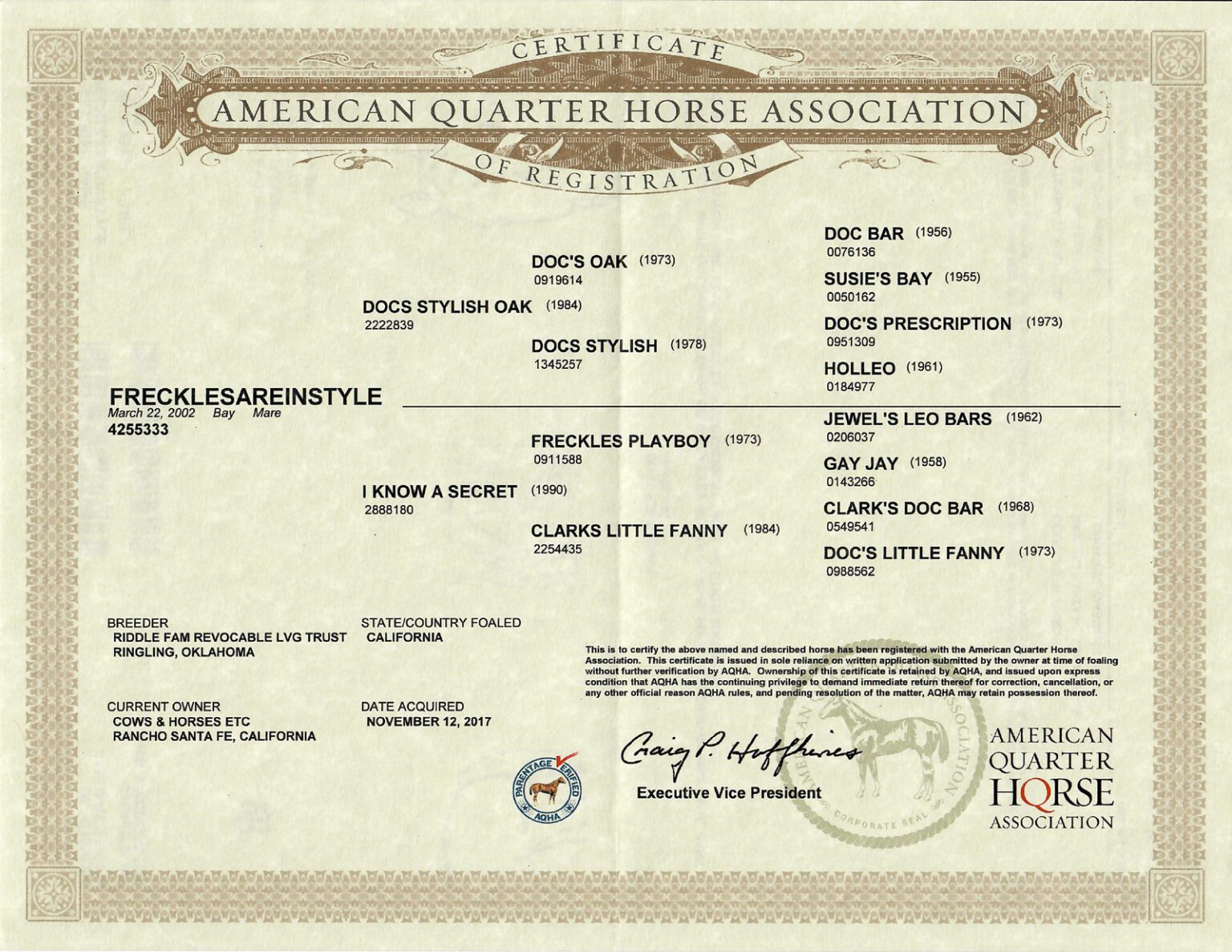 Metallics MVP - Home