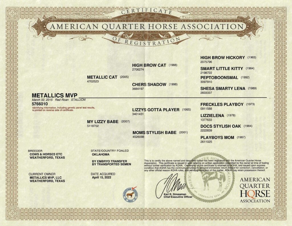 Metallics MVP - Home