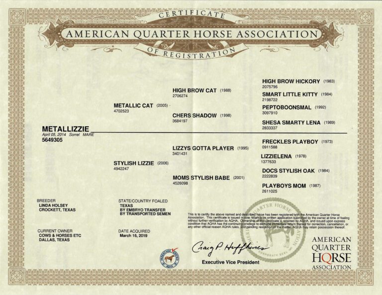 Metallics MVP - Home