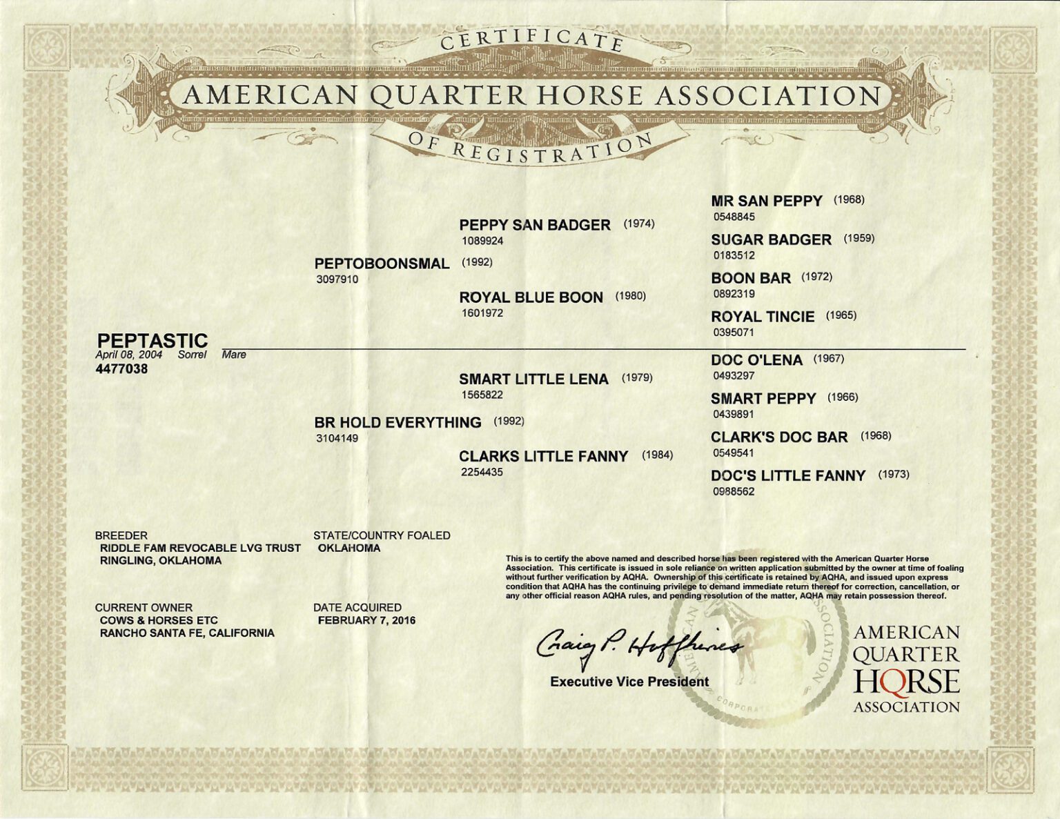 Metallics MVP - Home