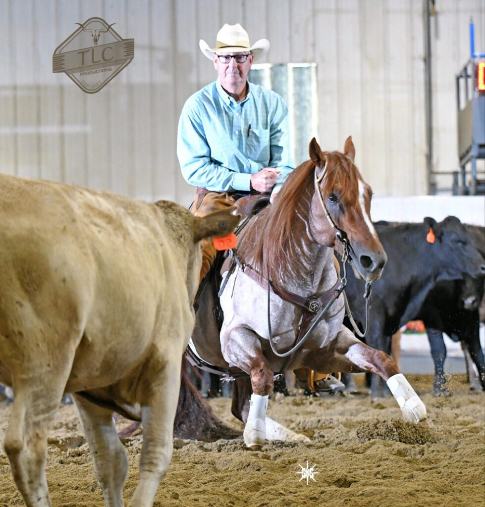 Metallics MVP - Home