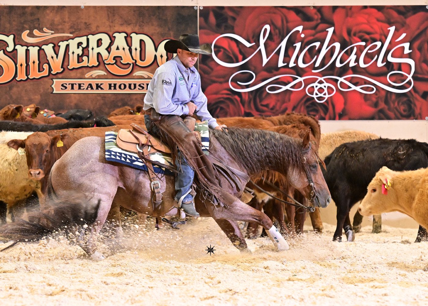 MVP Offspring Making Waves in Las Vegas - Blog